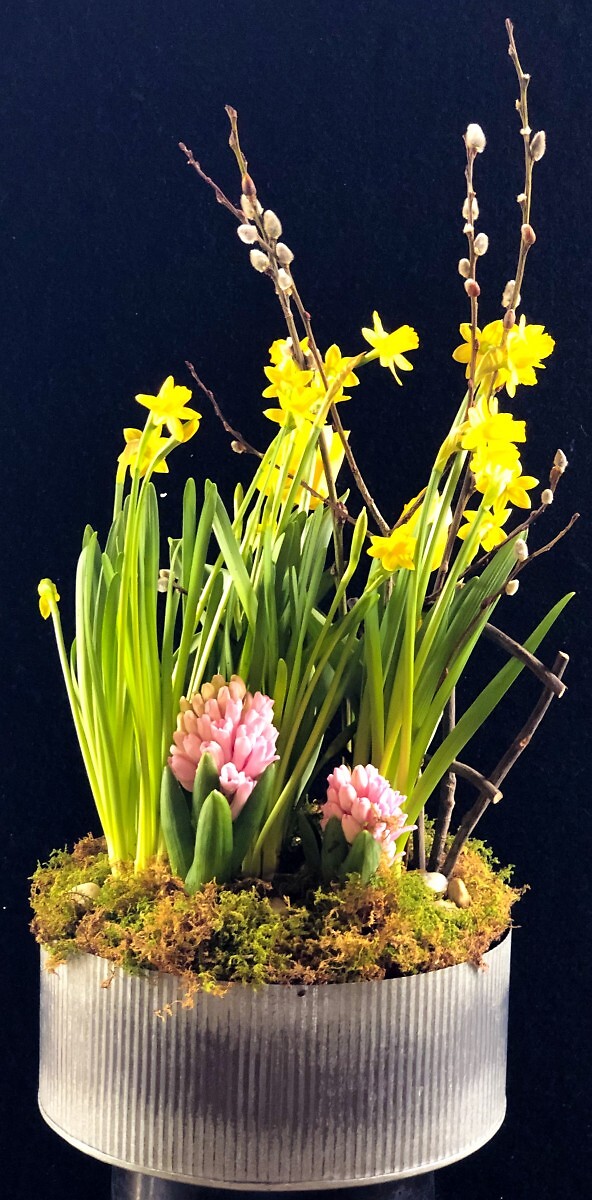 City Gardener Spring Bulb Garden arranged by a florist in Ravenna, OH ...